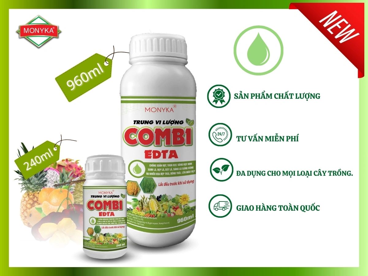 COMBI EDTA - MONYKA ( 960ML - 240ML)